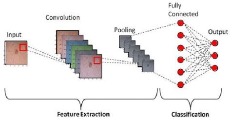 Figure 1 From Human Skin Diseases Detection And Classification Using Cnn Semantic Scholar