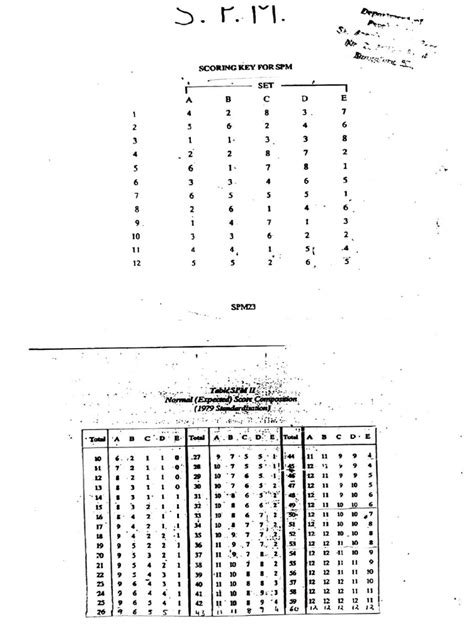 Rspm Scoring Manual Pdf