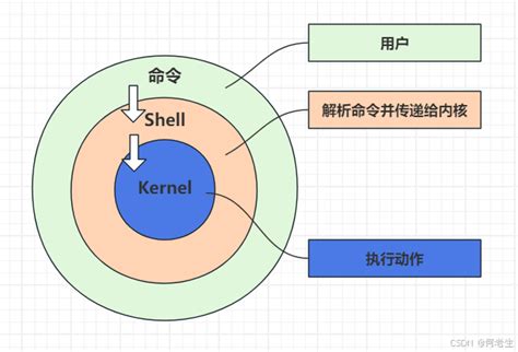Linux之shell命令