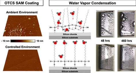 阐明有机官能硅烷自组装单层涂层的缩合介导降解机制 Acs Applied Materials And Interfaces X Mol