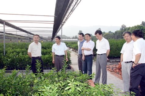 国家柑桔苗木脱毒中心图册360百科