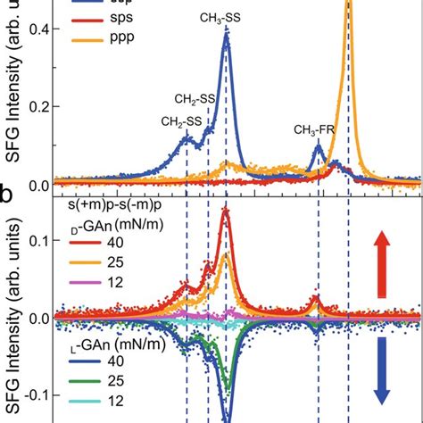 Sfg Spectra In The Region Corresponding To Ch Stretching Vibrations A Download Scientific