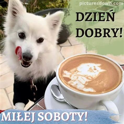 Miłej soboty kawa kartka biały pies picturesdown