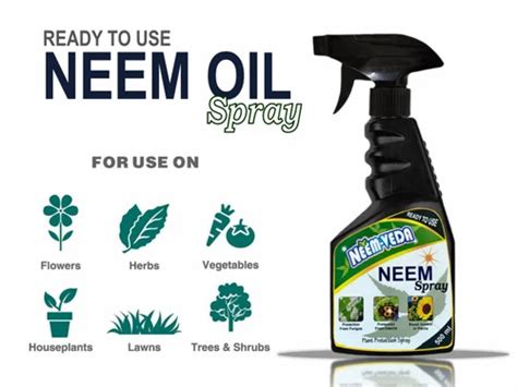 Neem Veda Organic Neem Oil Spray For Plants Insects Ready To Use