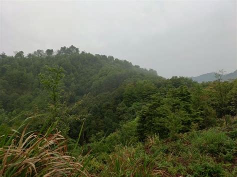 科学网—新岗山2024年度春季采样 天公不作美 朱朝东的博文