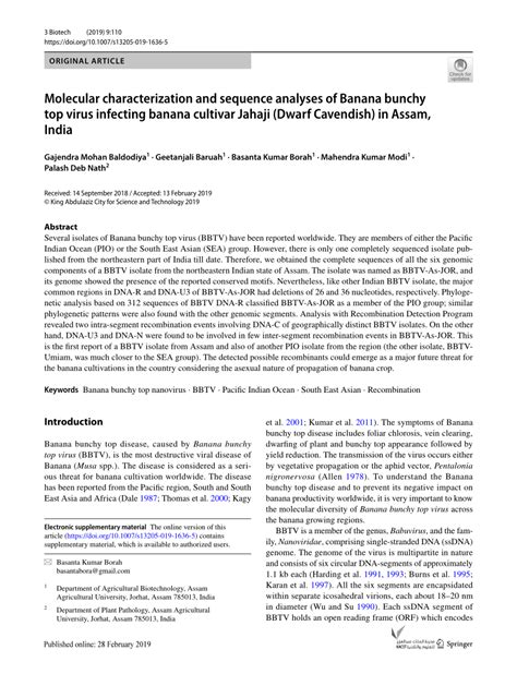 Pdf Molecular Characterization And Sequence Analyses Of Banana Bunchy Top Virus Infecting