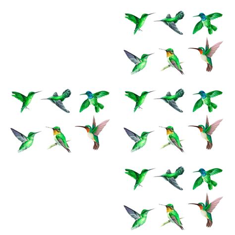 Anti Bird Stickers Deterrent Window Decals Static Glass Clings 4 Sets Applique Pvc Indoor Plant
