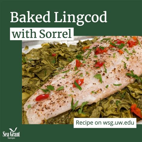 West Coast Seafood Series Baked Lingcod With Sorrel Washington Sea Grant