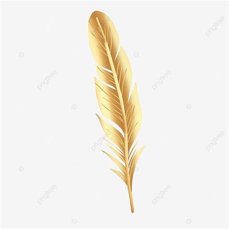 Pluma Dorada Pluma Larga Png Dibujos Dorado Amarillo Pluma Png Y Psd