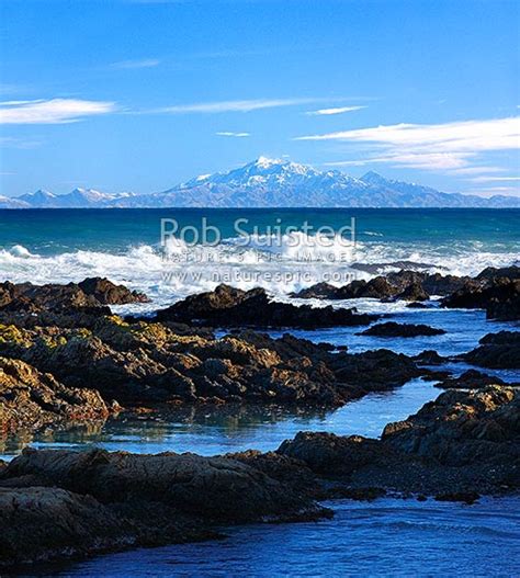 Wild Wellington South Coast Waves Rolling In From Cook Strait With