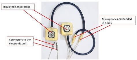 Assembled Nipas Heads Download Scientific Diagram