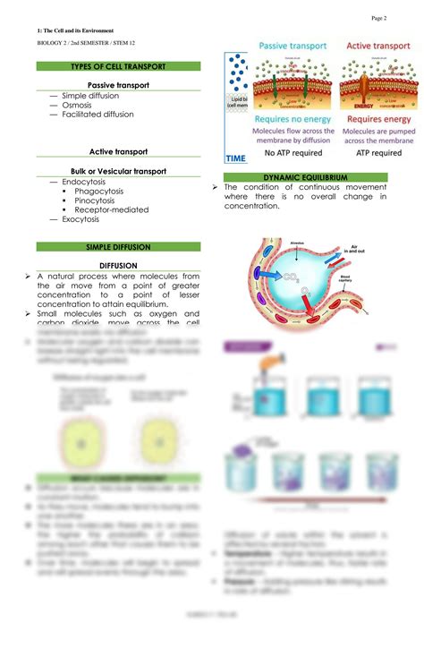 SOLUTION The Cell And Its Environment Studypool