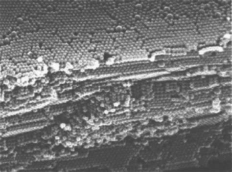 Cleaved Edge Of A Sample Consisting Of A Thin Film Opal Of 270 Nm PMMA