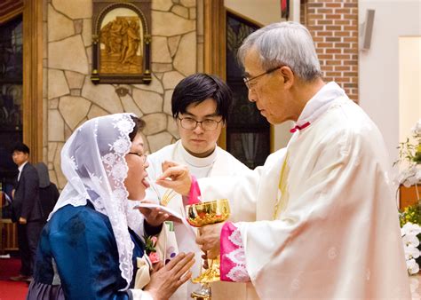 축 침수 세례성사 3 본당갤러리 천주교제주교구 주교좌중앙성당