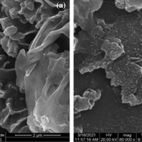 Ftir Spectra Of Ceo2 Zno Go Nanocomposite Download Scientific Diagram