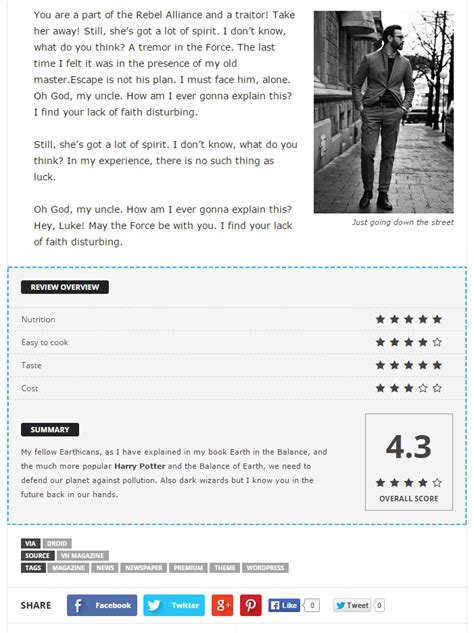 Newsmag Theme How To Use Reviews On Post And Pages
