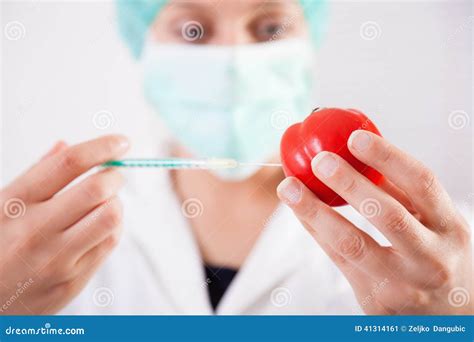 Genetic Modification Stock Image Image Of Agriculture 41314161