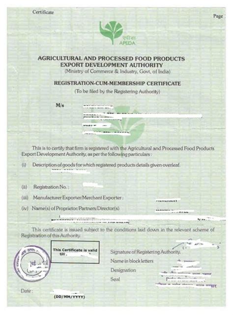 Apeda Export Registration Service In Mumbai Id 26188466962