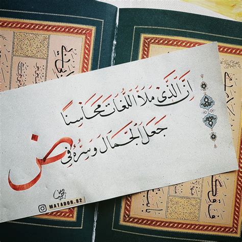 إن الذي ملأ اللغات محاسنا جعل الجمال و سره في الضاد ️