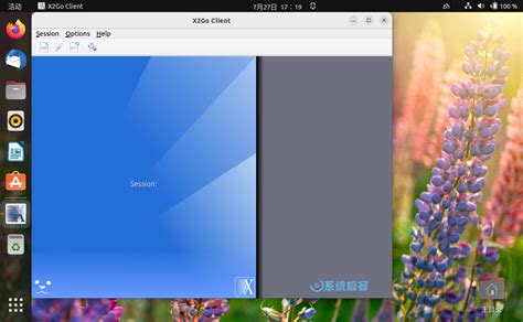 适用于 Linux 的最佳远程桌面连接工具推荐 系统极客