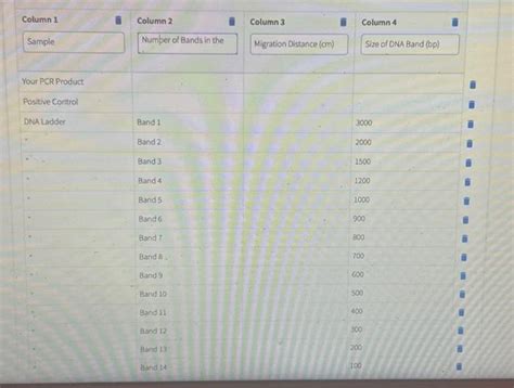 Begin Tabular C C C C Hline Column Column Chegg