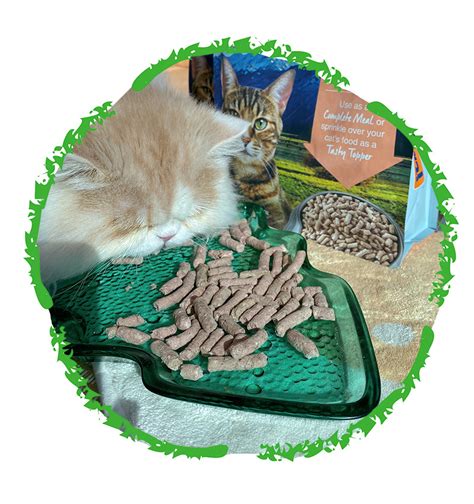 K9猫冻干生骨肉通用猫粮猫咪营养主食幼成猫零食320g主食冻干干粮 阿里巴巴