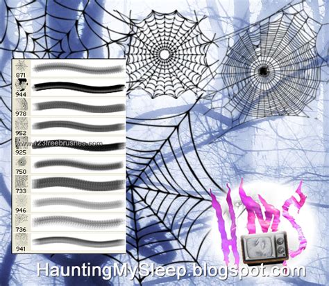 Spider Web Cs3 Brushes 123freebrushes