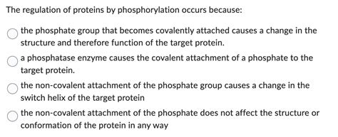 Solved The Regulation Of Proteins By Phosphorylation Occurs Chegg