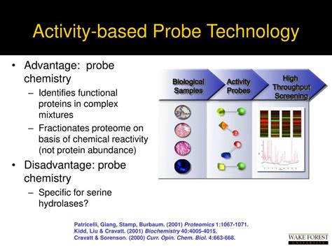 Ppt Structure Based Analysis Of Protein Function Powerpoint Presentation Id 1123003