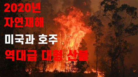 2020년 자연재해 역대급 대형 산불 2020년 호주와 미국 서부에서 발생한 대형 산불 지구 온난화 심각한 변화