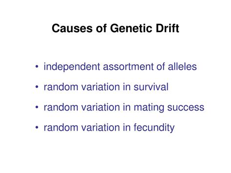 Ppt Genetic Drift Powerpoint Presentation Free Download Id4193705