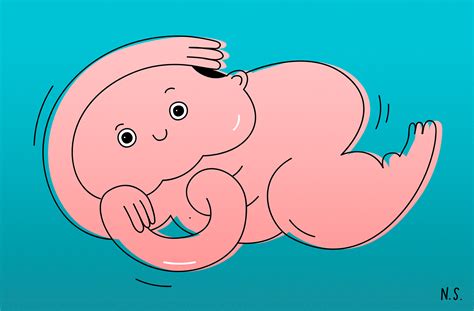 Nudes Behance