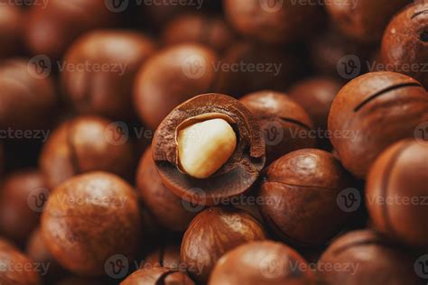 Texture Of Organic Macadamia Nut Fresh Natural Fruit Shelled One Nut