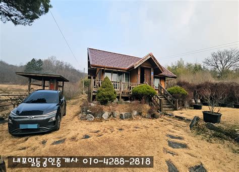 Daum 카페