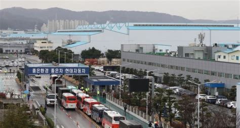 초강력 컨틴전시플랜 현대차 3월 中생산 3만대삼성·lg 전략 재수립 불가피