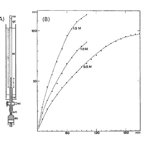Tomas BOHR Professor Doctor Of Science Dr Technical University Of Denmark Kongens Lyngby