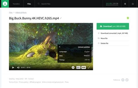Online Torrent Streaming Services | AlternativeTo