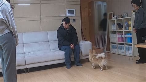 제니 흥분도 심각 이상행동에 촬영 불가 수준→스킨십 교육 세나개