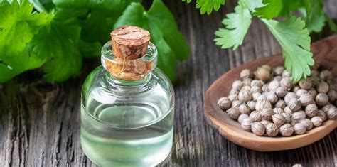 Nutrition Facts Health Benefits Possible Side Effects Recipes And More