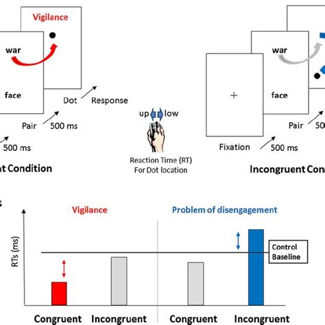 Probe Detection Task A Illustration Of A Congruent Trial Inducing