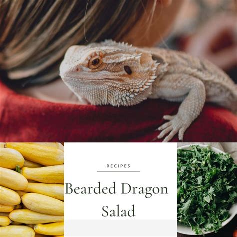 🦎 Heres A Fun Recipe For Your Bearded Dragon 🧼 Remember You Dont