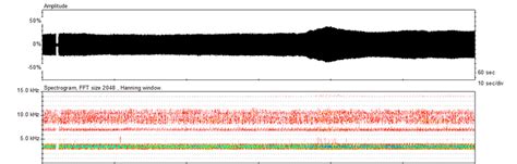 Exemples De Stridulations Doecanthus Dulcisonans Fig 3a En Haut