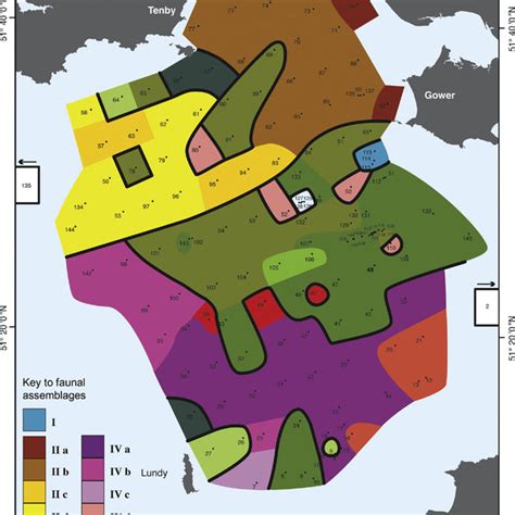 4 Diagrammatic Distribution Map Of The Benthic Macrofaunal Assemblages