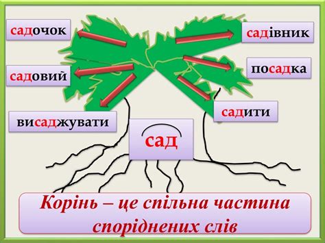 корінь слова 2 клас