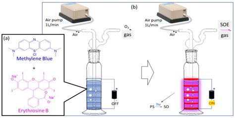 Singlet Oxygen Energy For Enhancing Physiological Function And Athletic