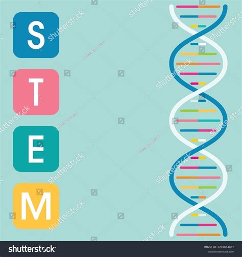 Stem Science Technology Engineering Mathematics Vector Stock Vector