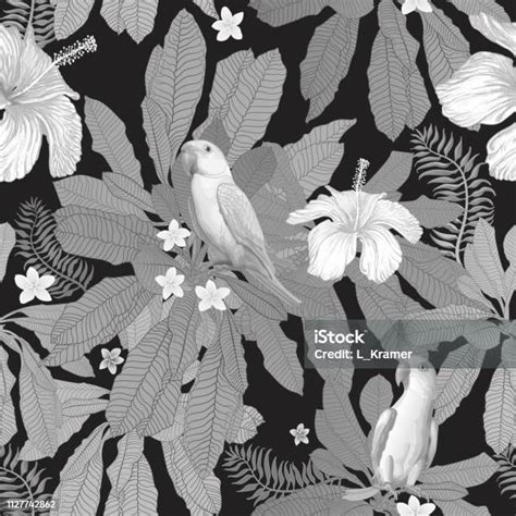 벡터 원활한 회색비늘 꽃 패턴 손으로 그려진 히 비 스커 스와 플 루 메리 아 꽃 인도 앵무새 그리고 판타지 열 대 단풍 검은 배경에 0명에 대한 스톡 벡터 아트 및 기타