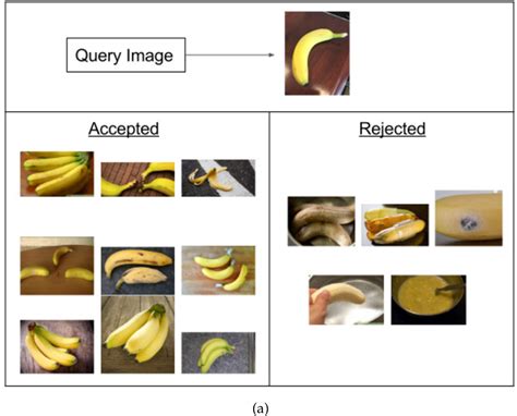 Figure 11 From Semi Supervised Learning For Real World Object