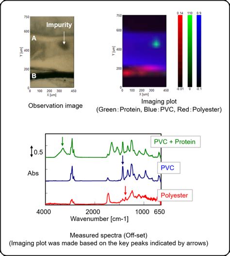 Advanced Imaging Data Analysis By “model Analysis” Jasco Global