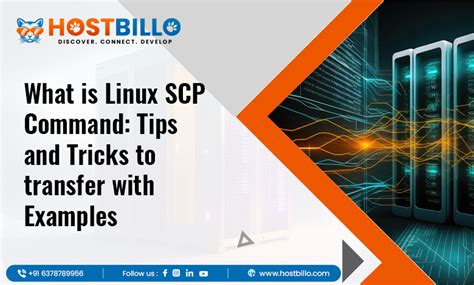 Linux Scp Command Essential Tips For Seamless File Transfer Hostbillo Blog Web Hosting